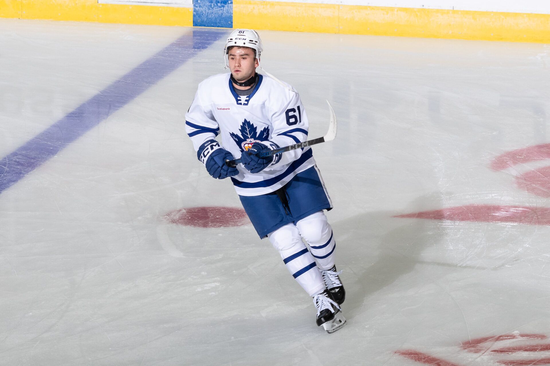 Matt Benning scores OT winner as Toronto Marlies overcome slow start to ...