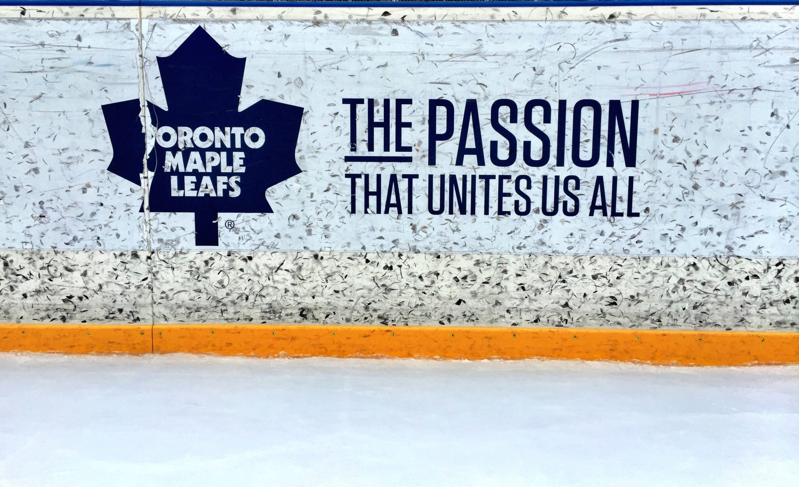 The Leaf: Episode 3