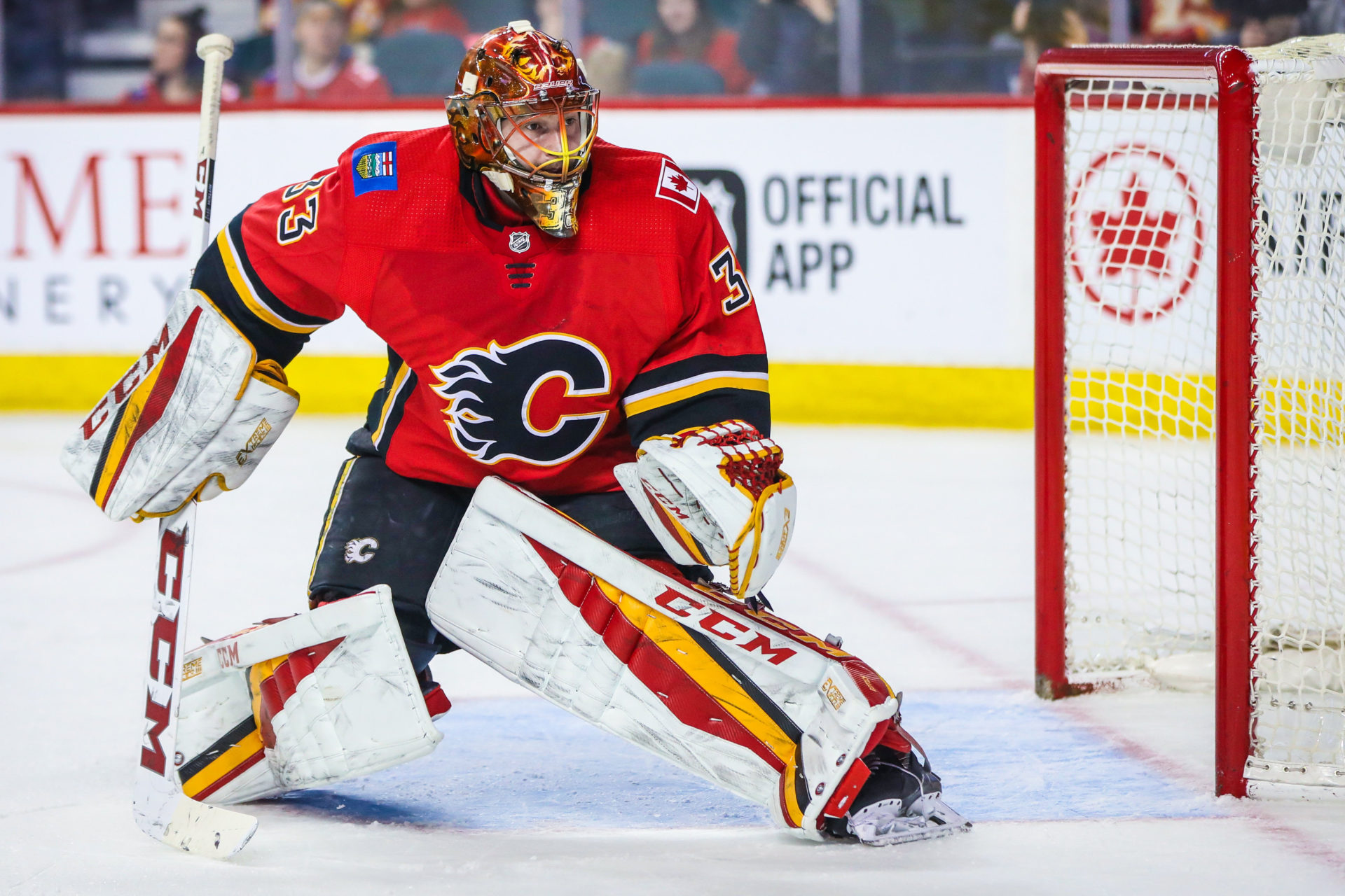Toronto Maple Leafs add goaltending insurance, acquire David Rittich ...