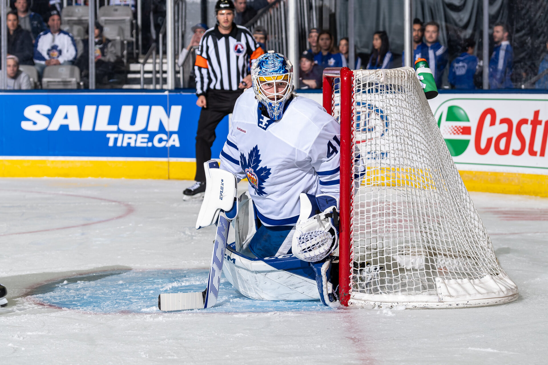 Late controversy denies Toronto Marlies a point in Belleville
