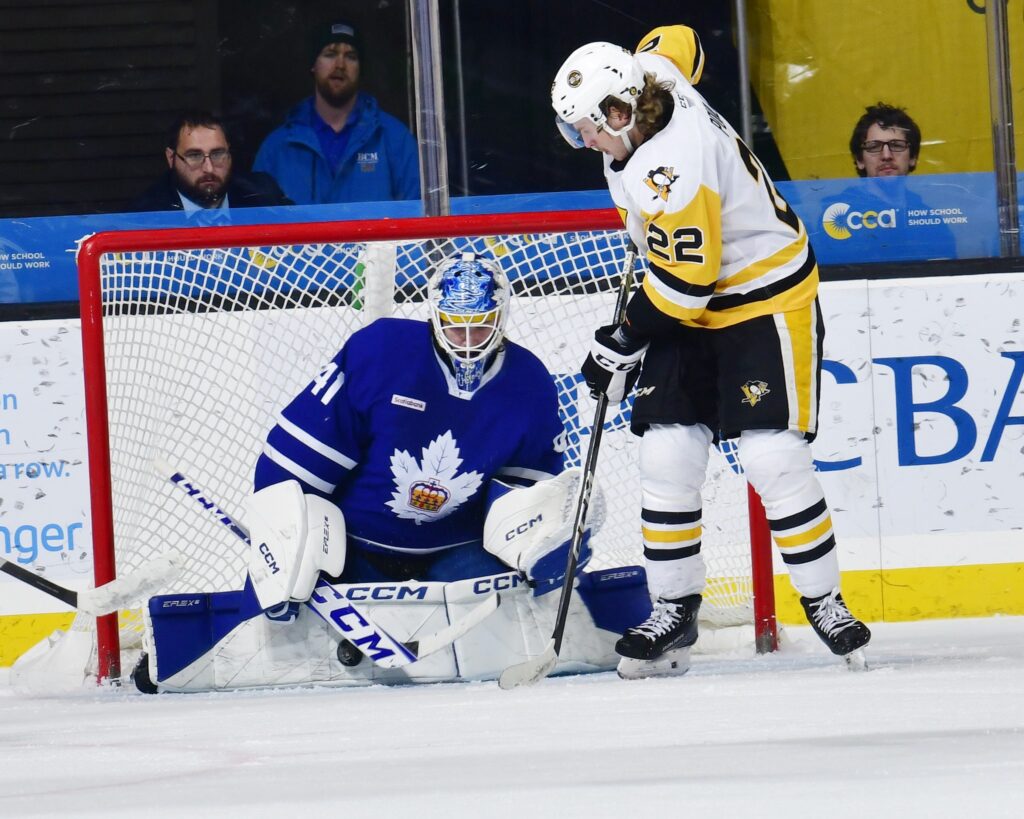 Dennis Hildeby stops 31 of 32 as Toronto Marlies extend point streak to ...