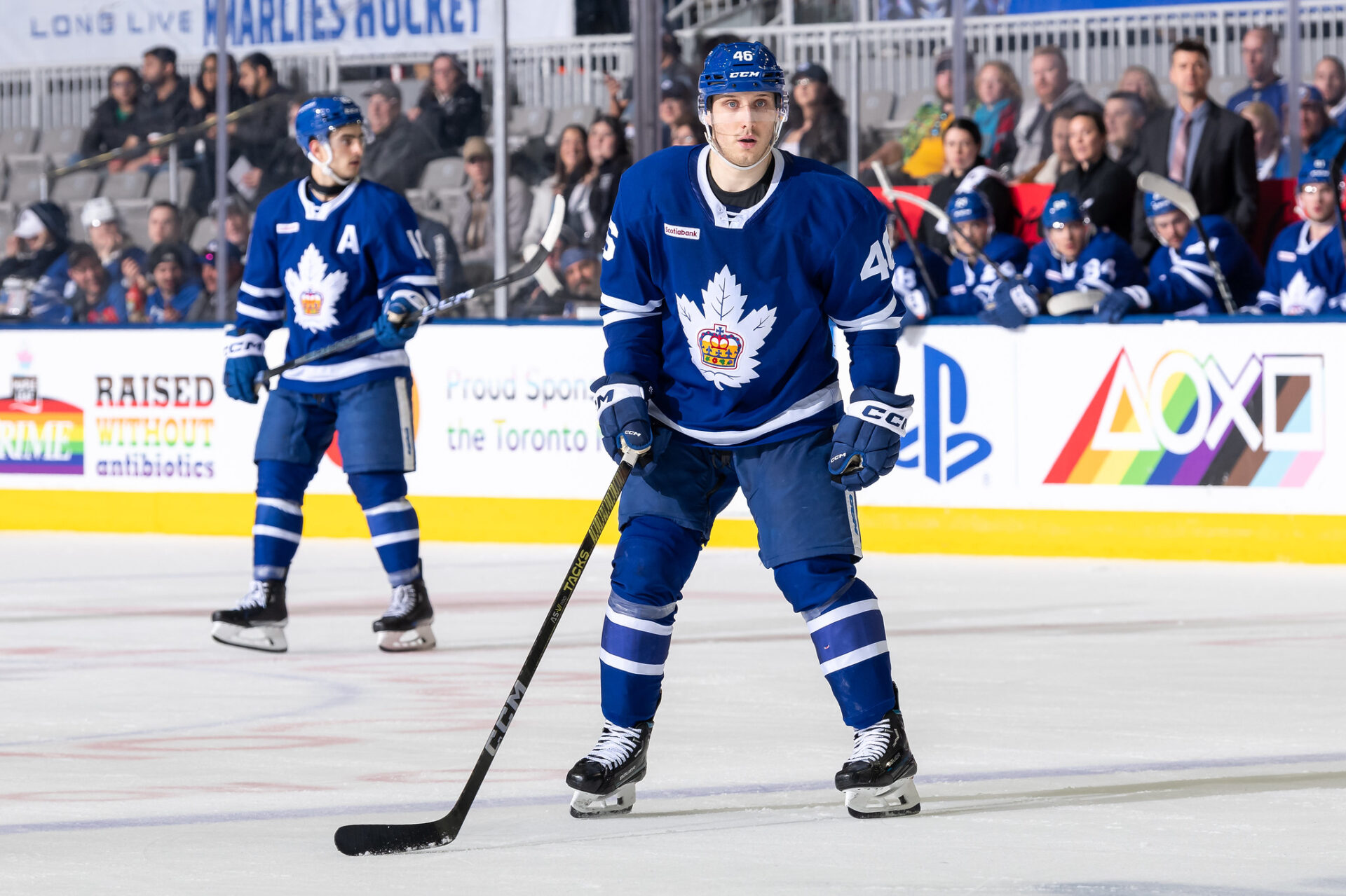 Alex Steeves records his fifth goal in as many games, Alex Nylander ...