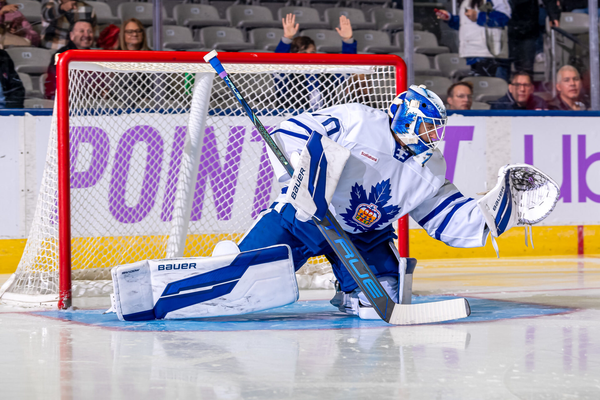San Jose snaps Toronto Marlies' four-game winning streak in Artur ...