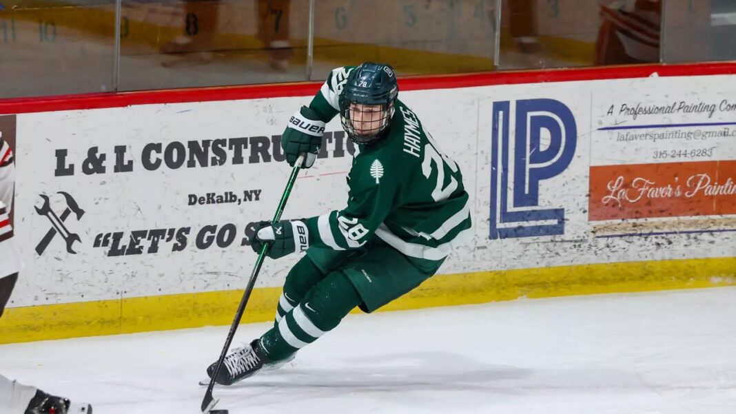 The 411 on Luke Haymes: Maple Leafs land sought-after 21-year-old ...