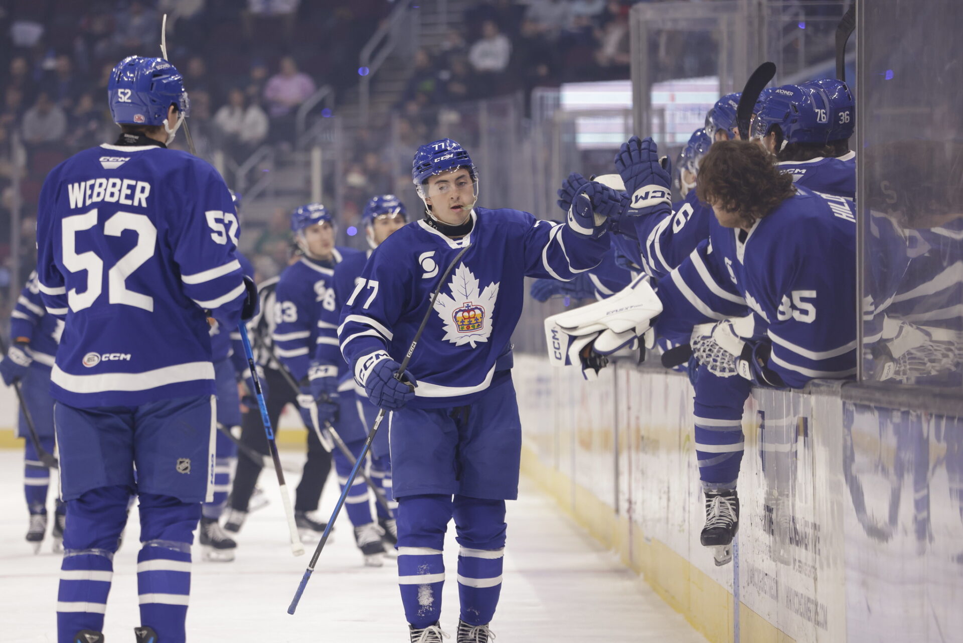 Ryan Tverberg's two-point game is for naught, Toronto Marlies cough up ...